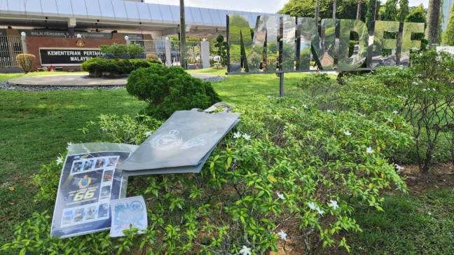 66th Anniversary of the Royal Malaysian Airforce Personalised Stamp ...